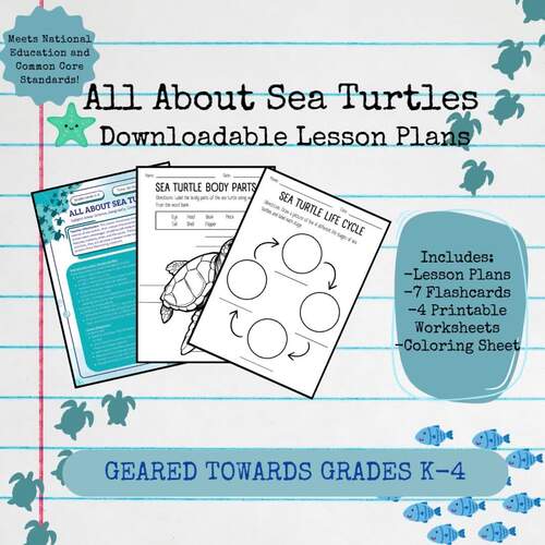 All About Sea Turtles Digital Lesson Plans for Grades K-4 (Elementary ...