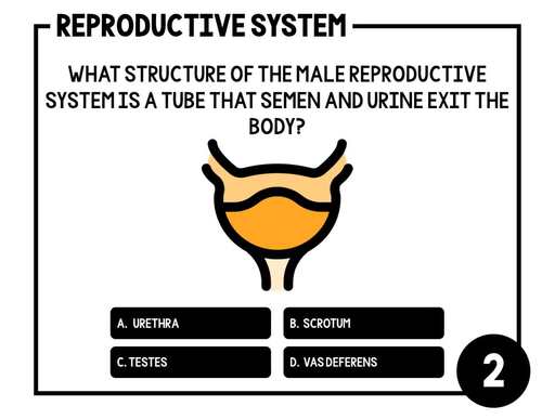 Reproductive System Task Cards Activity | Print and Digital Science ...