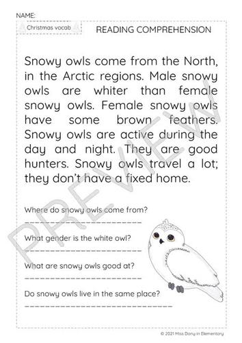 Winter Reading Comprehension Worksheets by Miss Dany in Elementary