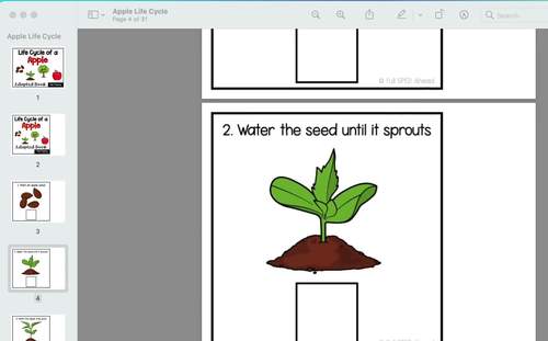 Life Cycle of an Apple Adapted Book for Special Education | TPT