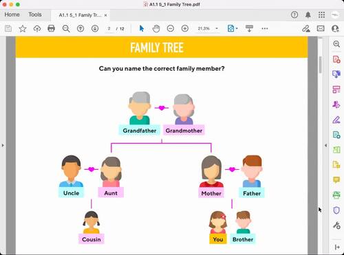 ESL Beginners Family & Common Verbs Bundle by ESL Adult Workshop