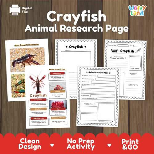 Crayfish Research Project | Crawfish Science Activity | Crustacean ...