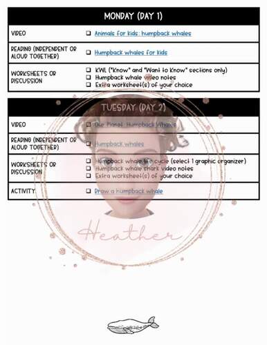 Humpback Whale Unit Study | Lesson Plan and NO PREP Activities | Ocean ...