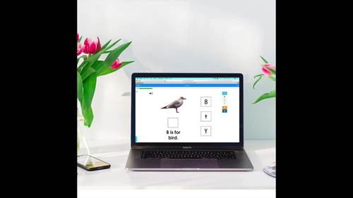 All About the Letters Digital Adapted Books - Boom Cards Distance Learning