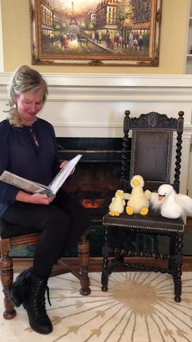 The Ugly Duckling - A Story from Denmark by Fireside Tales | TPT