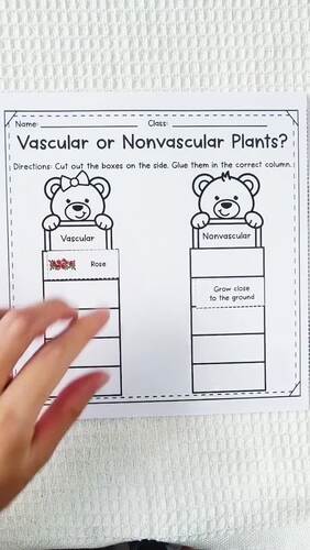 Vascular and Nonvascular Plants – Cut and Paste Sorting Activity Worksheet