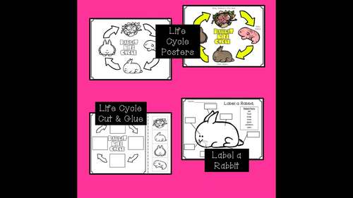 Rabbits Nonfiction Close Read with Text Dependent Questions & Annotate Text