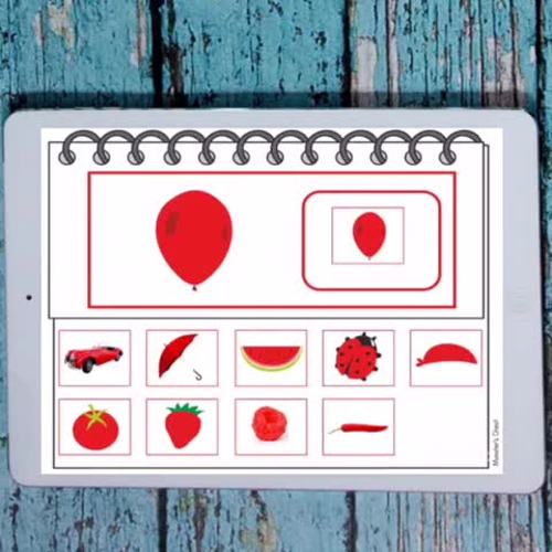 Boom Cards “Match the same” Colors Adapted Books 10 colors included.