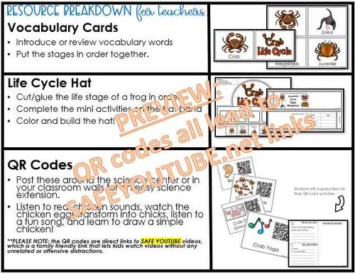 Crab Life Cycle l All about Crabs l Crab Science | Invertebrate ...