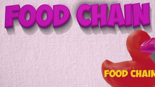 Food Chain Song by Mr Rs Songs for Teachers | TPT