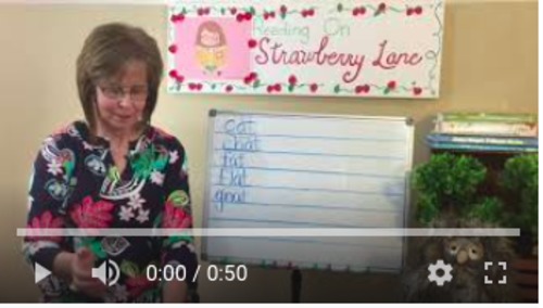 VIDEO: Reading: Set 1. Lesson 13. Word Family Pattern -at | TpT