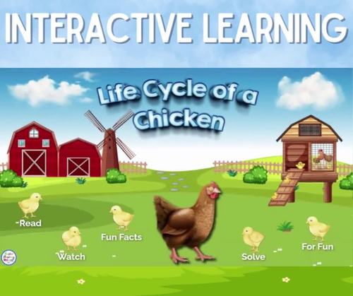 Life Cycle of a Chicken Mini Digital Escape Reading Comprehension w ...