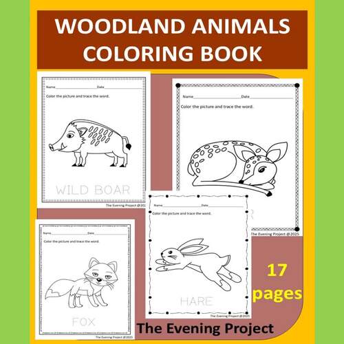 WOODLAND ANIMALS COLORING BOOK FOR SPECIAL EDUCATION AND K+ | TPT