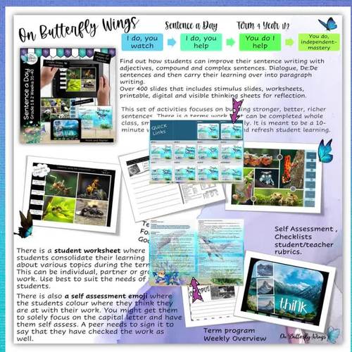 Sentence Writing Grade 3 Weeks 31 to 40 by On Butterfly Wings | TPT