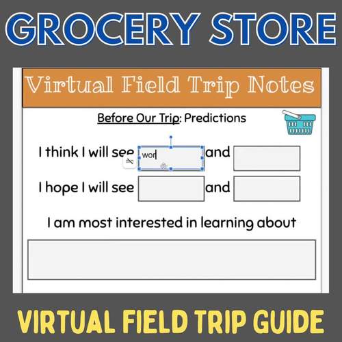 Grocery Store or Supermarket Virtual Field Trip Guide and Reflection Pages