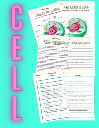 Cell Organelle's Matching Worksheets by Stephanie Allen | TPT
