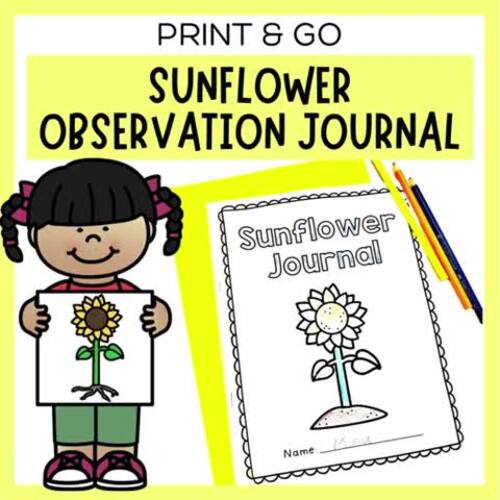Sunflower Observation Journal & Plant Life Cycle Worksheets | Science ...
