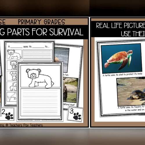 Animal Body Parts And How They Use Them To Survive by Beachy Dreams