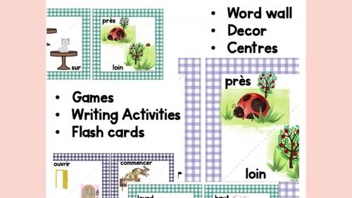 FRENCH Opposites Les Contraires Cartes de Vocabulaire Illustrées