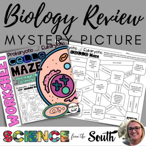 Prokaryotic and Eukaryotic Cells Maze Worksheet Printable and Digital ...