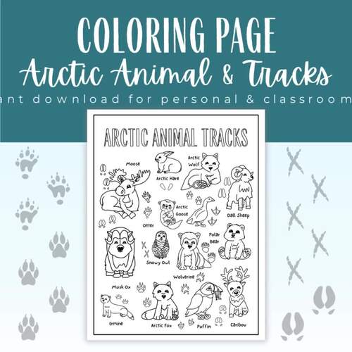 Arctic Animals Tracks Coloring Page | Polar Bear, Moose, Otter, & More ...