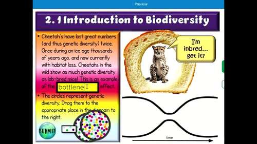 AP Environmental Science (APES) FULL YEAR Growing BOOM Bundle Review