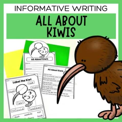All About Kiwis Informative Writing | New Zealand Bird by Little ...
