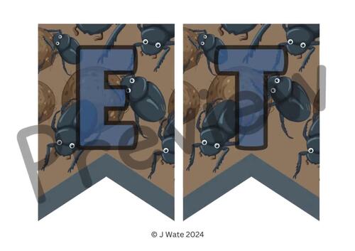 Insect Research PROJECT | Writing Activity | Fact File Dung Beetle ...