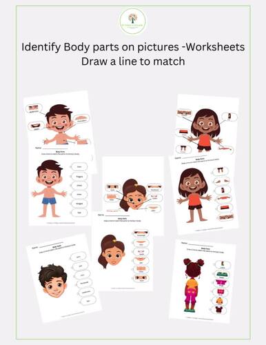 Body parts-Draw a line to match worksheets (ABLLS-R C21, G25) | TPT