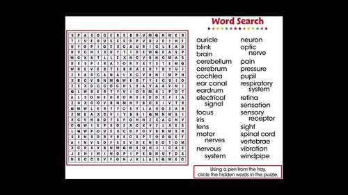 Senses,Nervous & Respiratory Systems: Word Search - NOTEBOOK Gr. 3-8