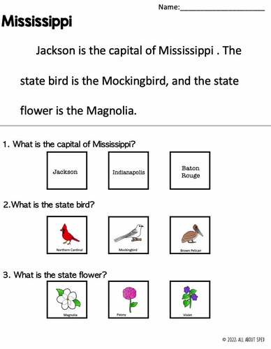 Mississippi Worksheets, 50 States, Special Education | TPT