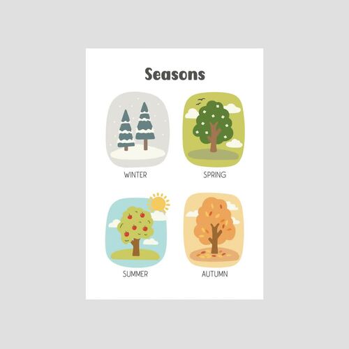 Set of 16 Educational Posters Montessori Classroom Decor Homeschool ...