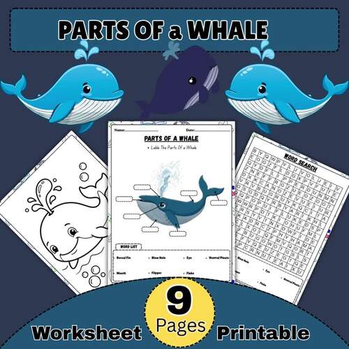 Parts of a Whale Worksheets | Marine Life Vocabulary Activity ...