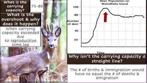 Biology Ecology Unit PowerPoint & Guided Note BUNDLE by Science With Grapes