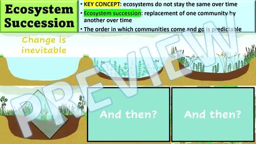Ecological Succession Interactive and Animated PowerPoint (+ FREE ...