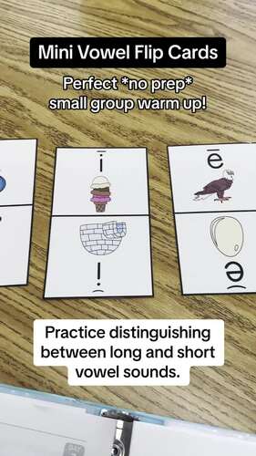 Mini Vowel Flip Cards- Distinguishing between Long and Short Vowel Sounds