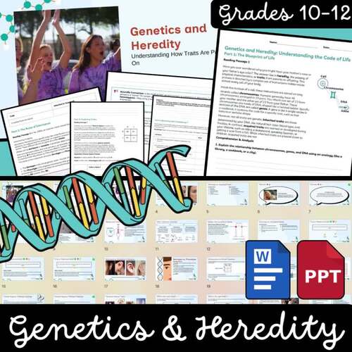 Genetics and Heredity Punnett Squares Worksheet | Genetics Heredity ...