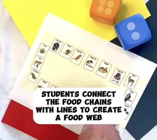 INVASIVE SPECIES OF THE Deciduous Forest FOOD WEB Dice Roll Activity MS ...