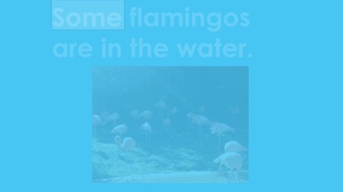 How Animals Communicate Journeys Unit 2 PowerPoint by Journey Into First