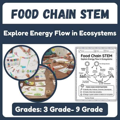 Food Chain STEM | Explore Energy Flow in Ecosystems | Biology Units | K ...
