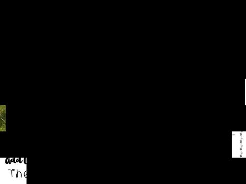 Spring Lambs 30 Add Flowers to 20 Task Card Tens Frames | TPT