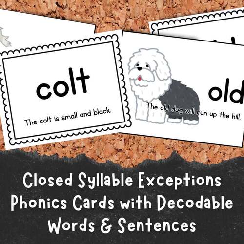 Closed Syllable Exceptions Decodable Word & Sentence Cards | Phonics ...