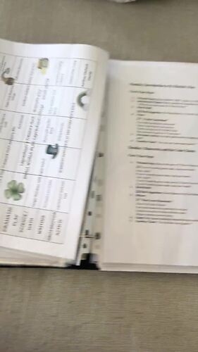 St. Patrick’s Day Preschool Curriculum | Full Week Lesson Plan by Sonja ...