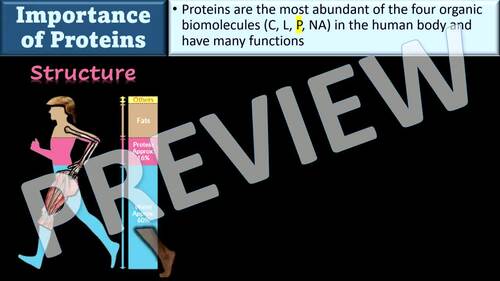 Protein Synthesis Interactive & Animated PowerPoint (+ Free Guided Notes)
