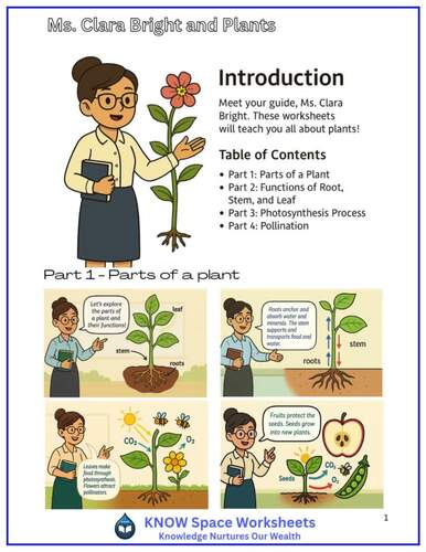 Photosynthesis and Pollination Made Easy with Ms. Clara Bright | TPT