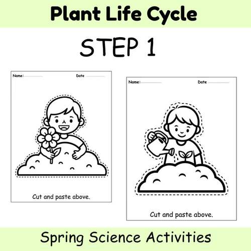 Plant Life Cycle Writing Crafts Bundle PreK to Grade 3 Spring Science