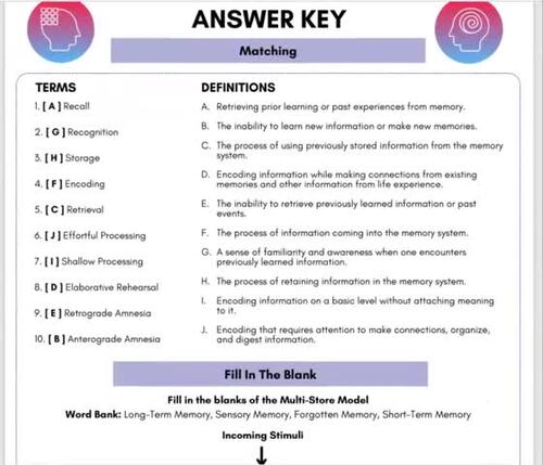 Cognitive Psychology Memory and Forgetting Test by Psyched About Social ...