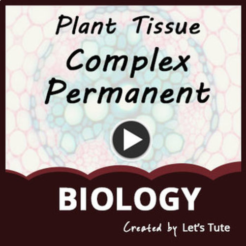 Plant Tissues- Complex Permanent Biology (Science) by Letstute | TPT