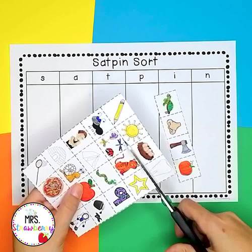 SATPIN Picture Sort Activity by Mrs Strawberry | TPT