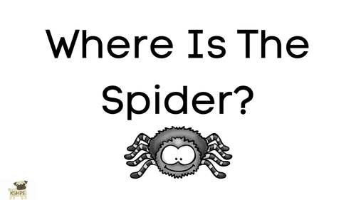 Where Is The Spider? Sight Word Reader, Vocabulary, Early Literacy ...